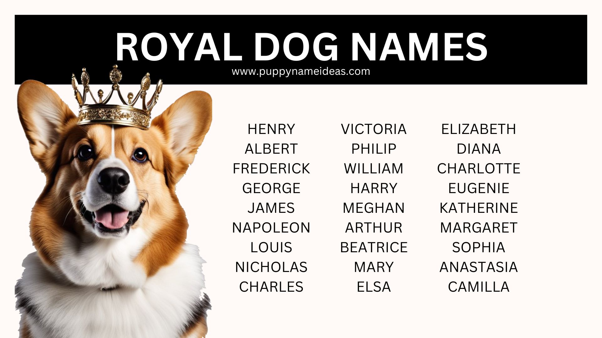 150+ Royal Dog Names - Puppy Name Ideas