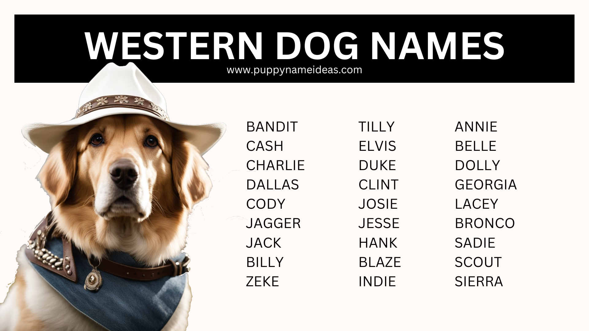 120 Western Dog Names Puppy Name Ideas 120 Western Dog Names Puppy Name Ideas