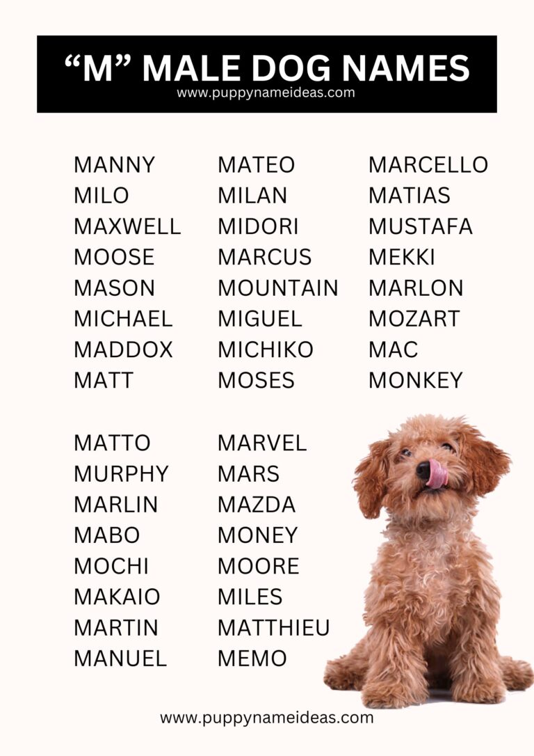 Dog Names That Start With M - Puppy Name Ideas
