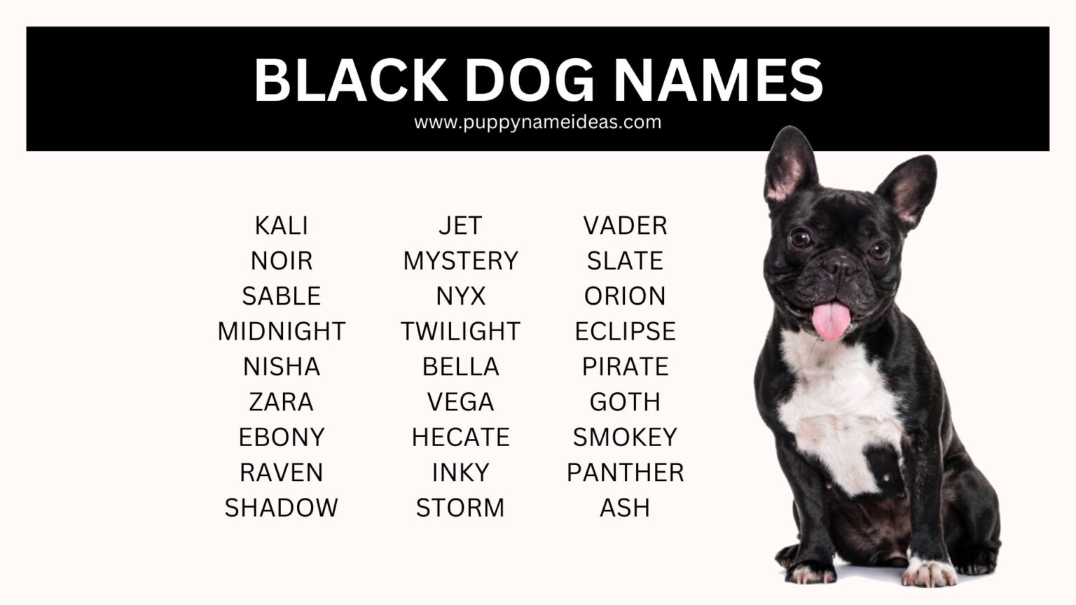 180+ Large Dog Names - Puppy Name Ideas