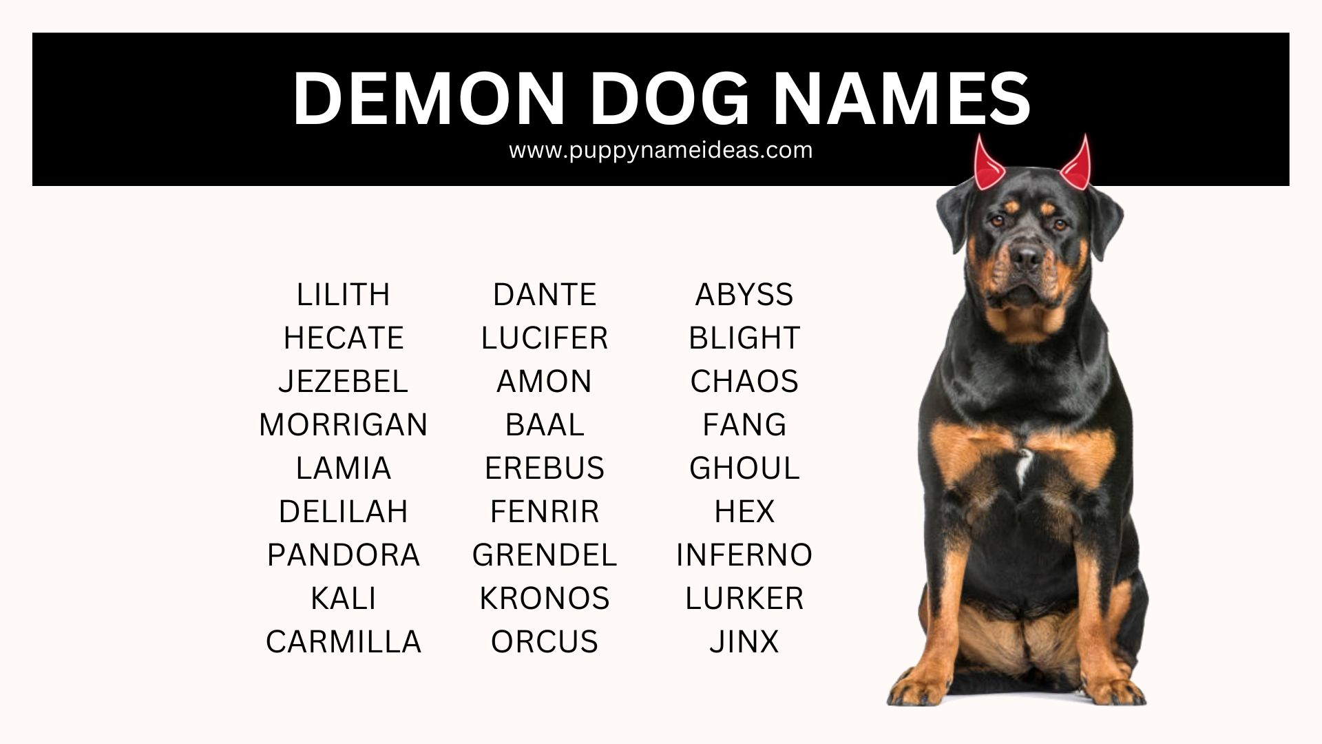 240 Demon Dog Names Puppy Name Ideas