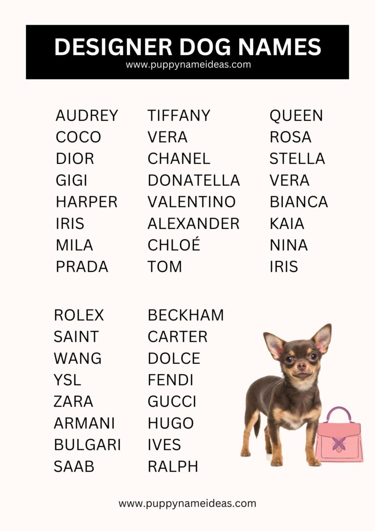 120+ Designer Dog Names - Puppy Name Ideas