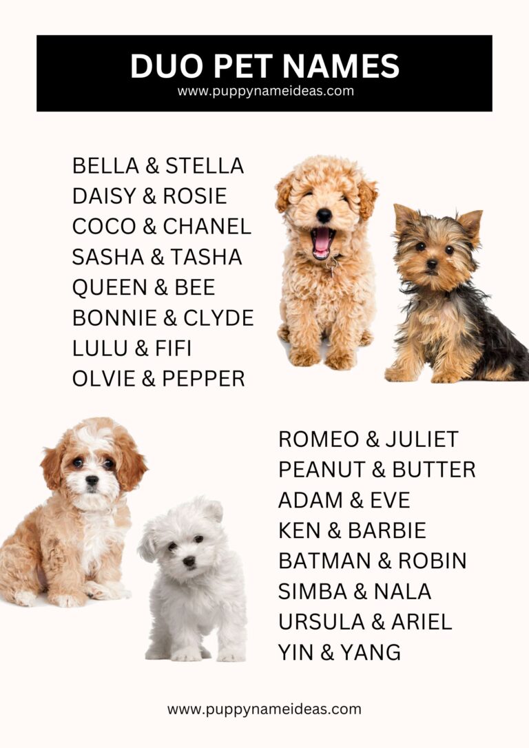 185+ Duo Pet Names - Puppy Name Ideas