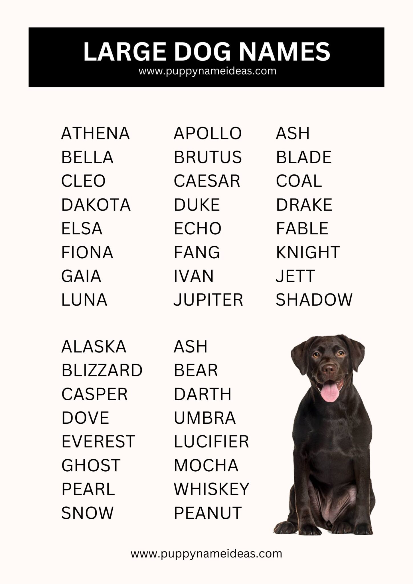 180+ Large Dog Names - Puppy Name Ideas