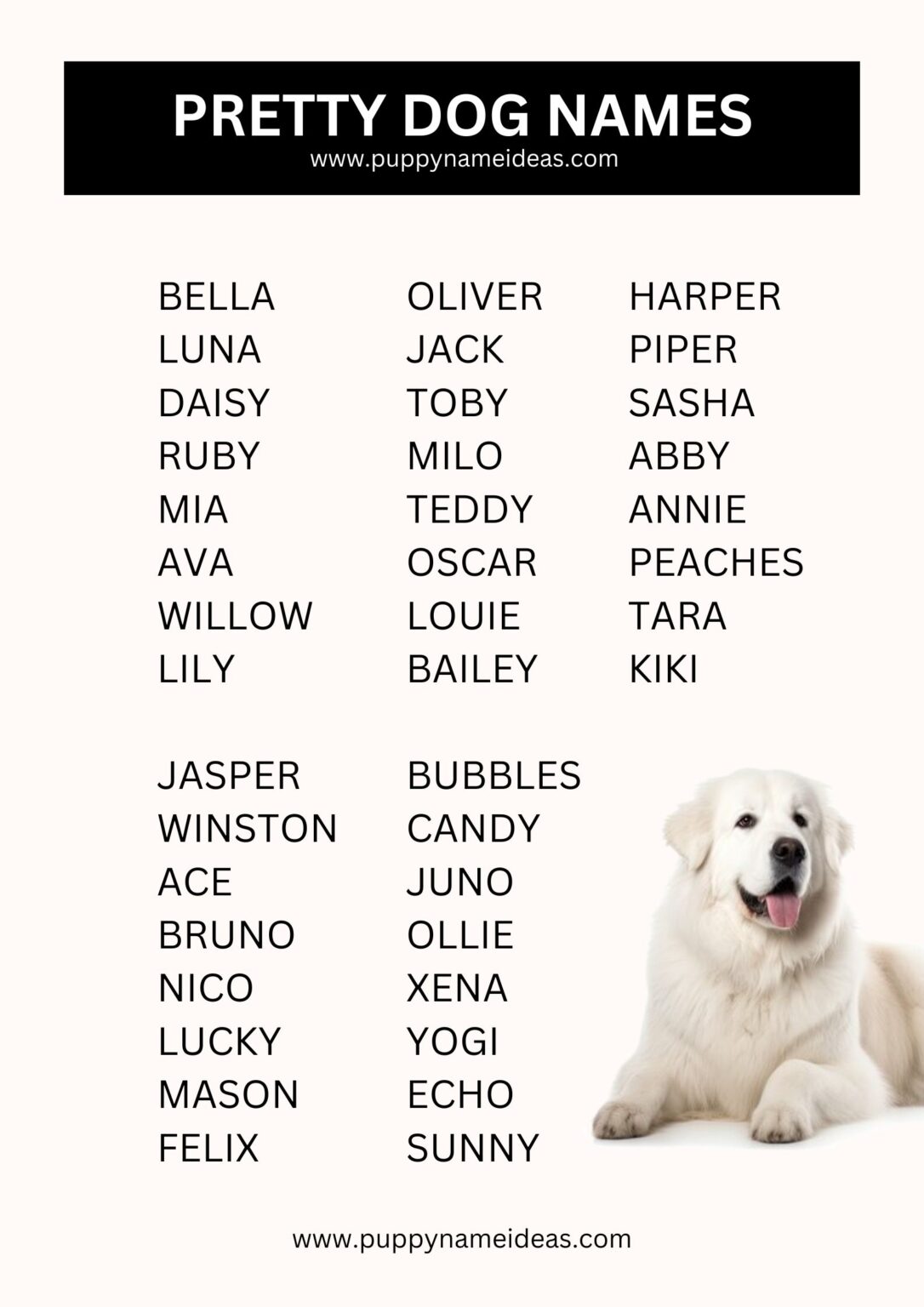 150+ Pretty Dog Names - Puppy Name Ideas