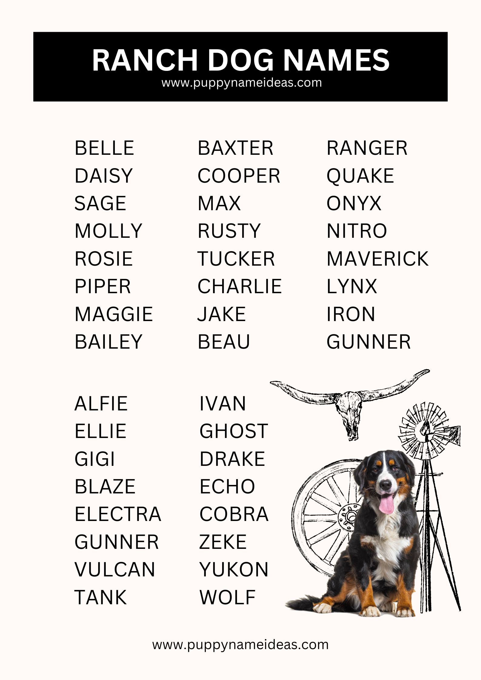 120 Ranch Dog Names Puppy Name Ideas 120 Ranch Dog Names Puppy Name Ideas