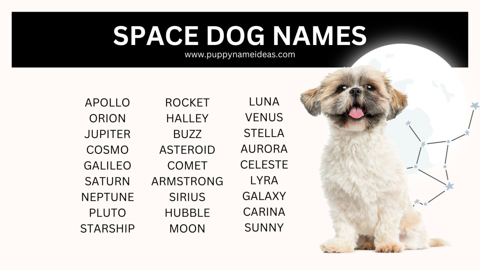 200+ Fluffy Dog Names - Puppy Name Ideas