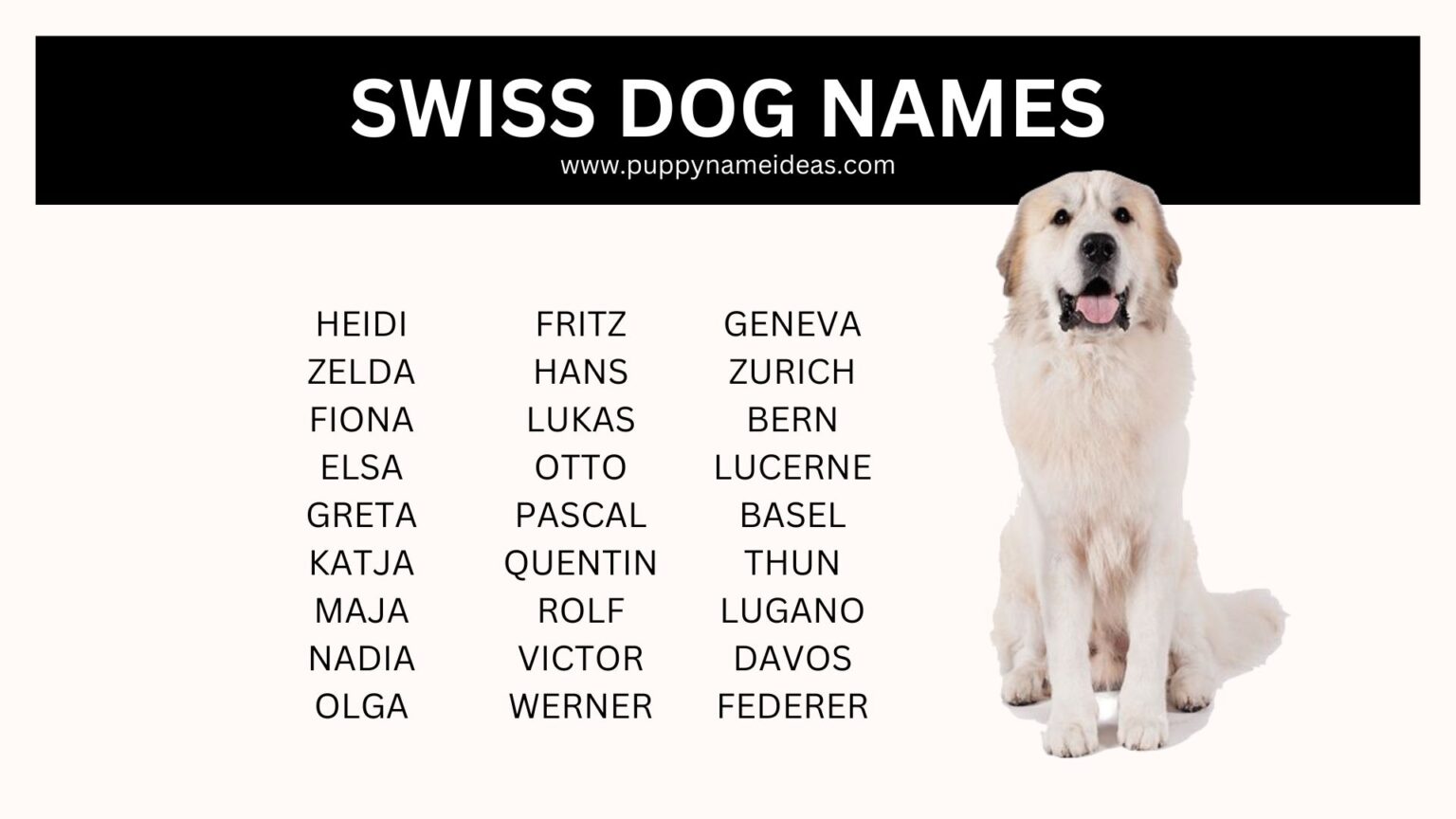 160+ Asian Dog Names (With Meanings)