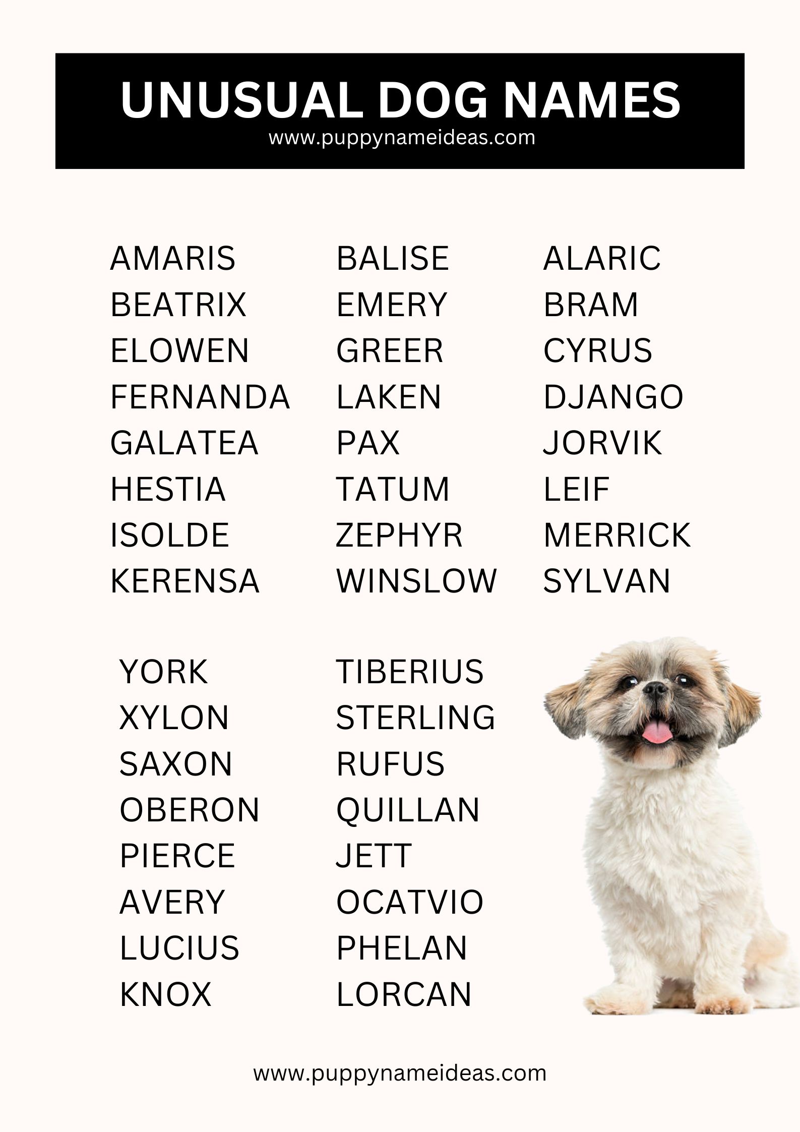 150 Unusual Dog Names Puppy Name Ideas 150 Unusual Dog Names Puppy Name Ideas