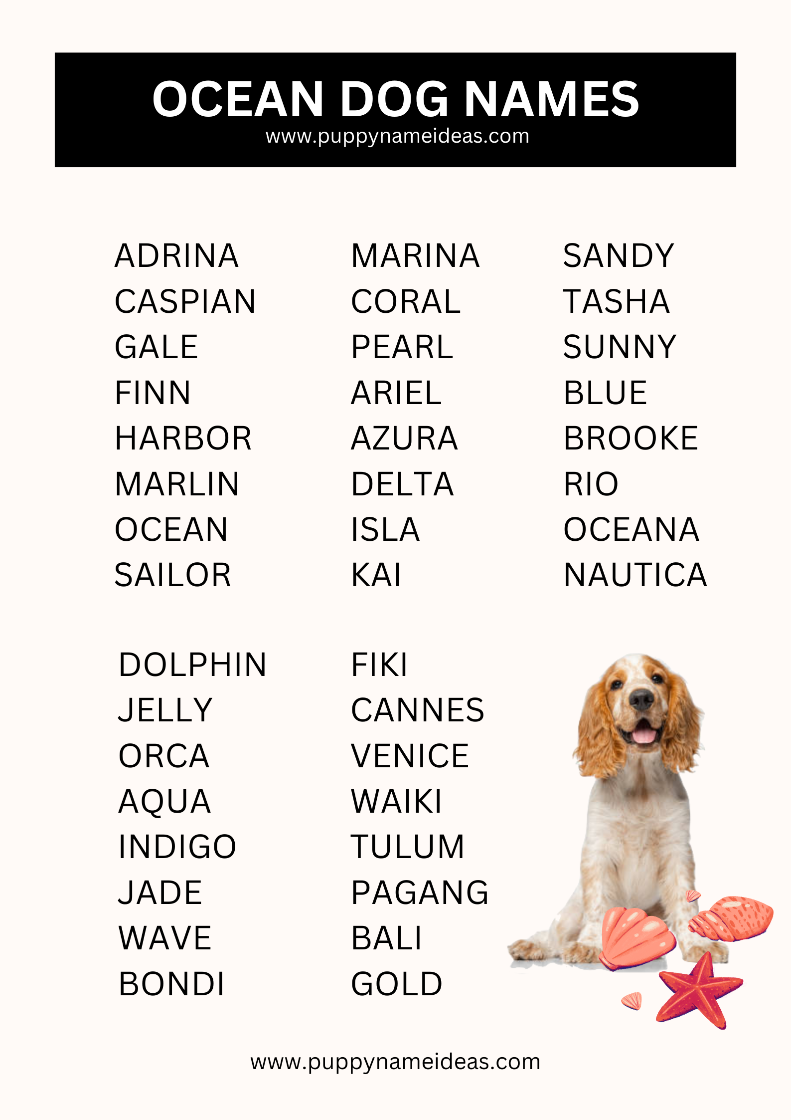 100 Ocean Dog Names Puppy Name Ideas 100 Ocean Dog Names Puppy Name Ideas