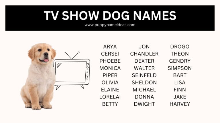 240+ Astrology Dog Names - Puppy Name Ideas